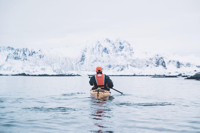 Winter Half Day Kayak Tour - How the Tour Compares to Other Experiences