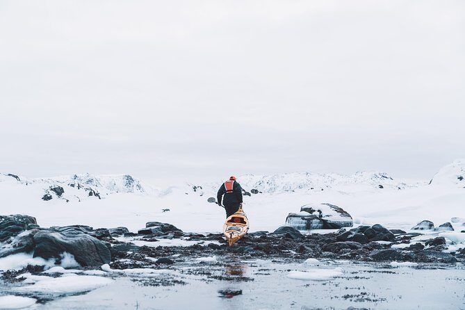 Winter Half Day Kayak Tour - Who This Tour Is Best For