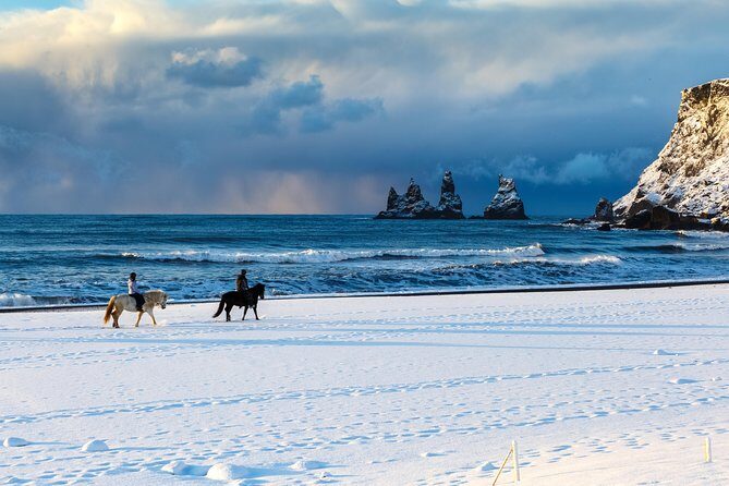 Winter South Coast Day Tour by Minibus from Reykjavik - The Guides and Their Impact