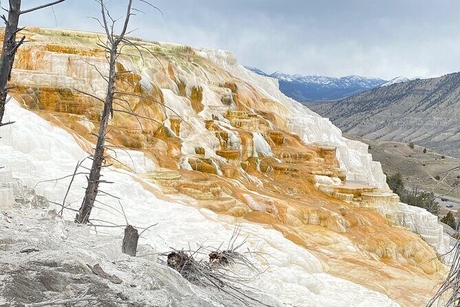 Winter Wildlife Safari: Lamar Valley | Gardiner | PRIVATE + Lunch - Final Thoughts: Is It Worth It?