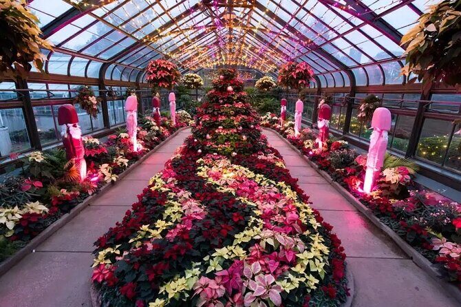 Winter Wonder Tour - Final Thoughts: Who Should Consider This Tour?