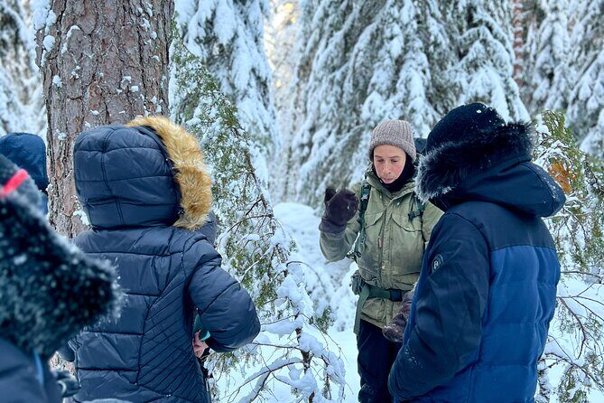 Winter Wonderland Hike in a National Park - Key Points