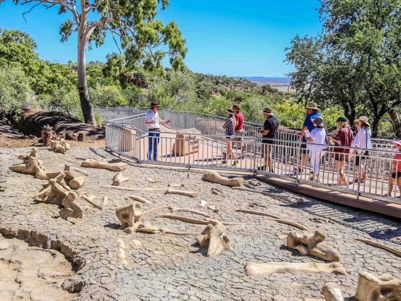 Winton: Age of Dinosaurs Museum Half Day Guided Transfer - An In-Depth Look at the Dinosaur Adventure