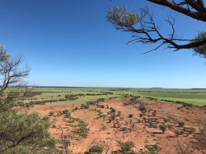 Winton: Bladensburg National Park Half Day Tour - The Sum Up