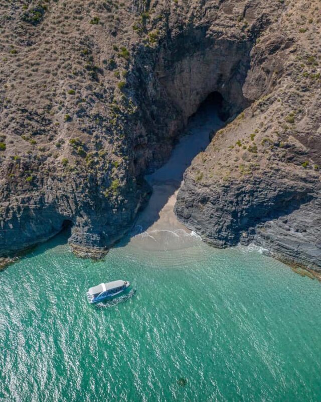 Wirrina Cove: Coastal Sightseeing Boat Tour with Seal Colony - Exploring the Itinerary in Detail