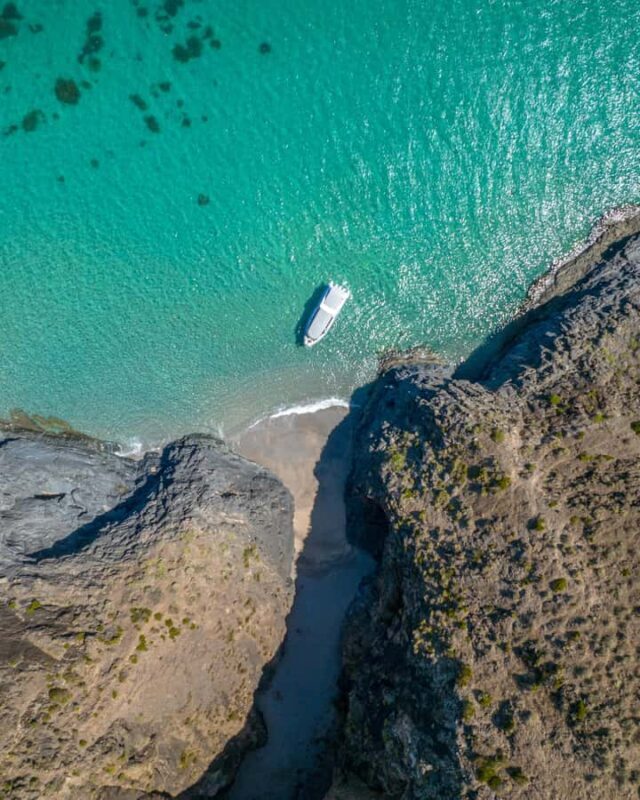 Wirrina Cove: Coastal Sightseeing Boat Tour with Seal Colony - The Sum Up