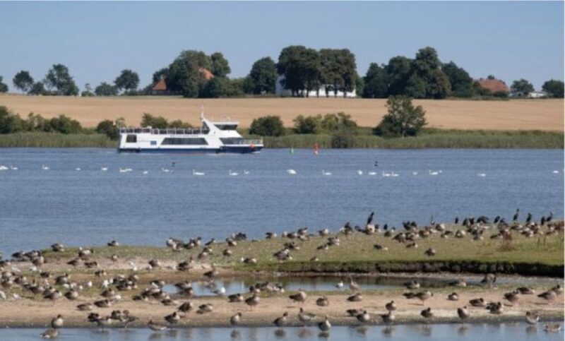 Wismar: Harbor Sightseeing Cruise - Introduction: A Scenic Voyage Through Wismar’s Harbors