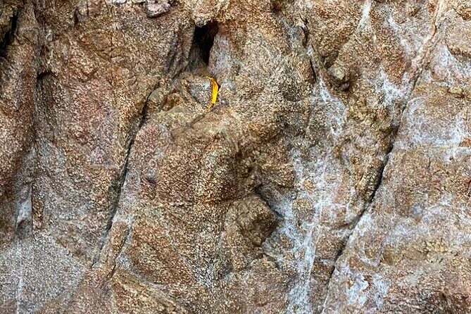 Wixárika Sacred Ritual: Purify your spirit in nature