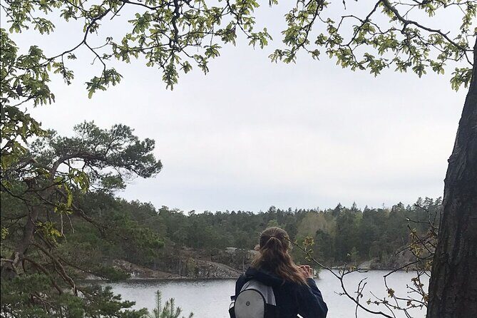 Wolf and Wildlife Tracking in Sweden - What to Expect from the Experience