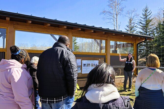 Wolfdog Sanctuary and Banff Day Trip - Authentic Feedback & Insights from Reviewers
