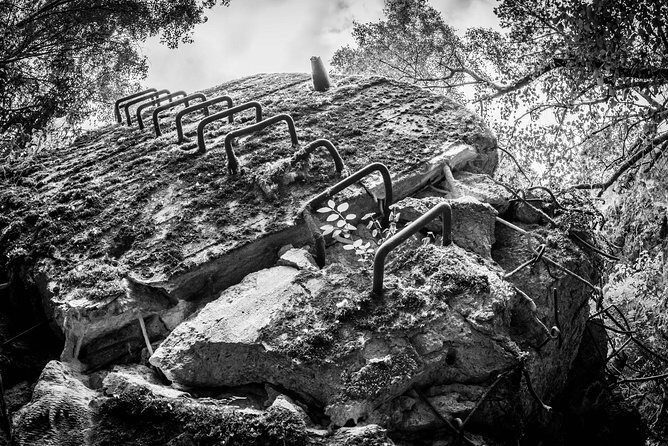 Wolf's Lair and St. Lipka Private Tour from Gdansk - Analyzing the Value for Money