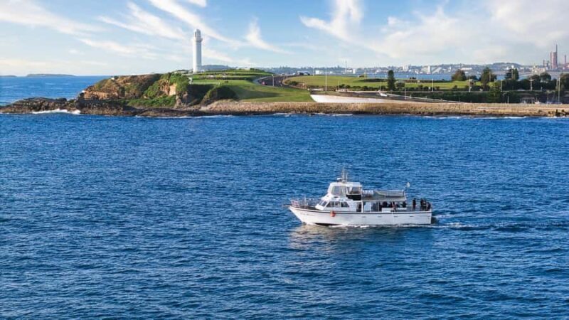 Wollongong Deep Sea Fishing Charter with Breakfast - Weekday - FAQs  