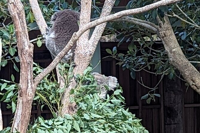 Wollongong Sightseeing Guided Day Tour - A Thorough Look at the Wollongong Sightseeing Guided Day Tour