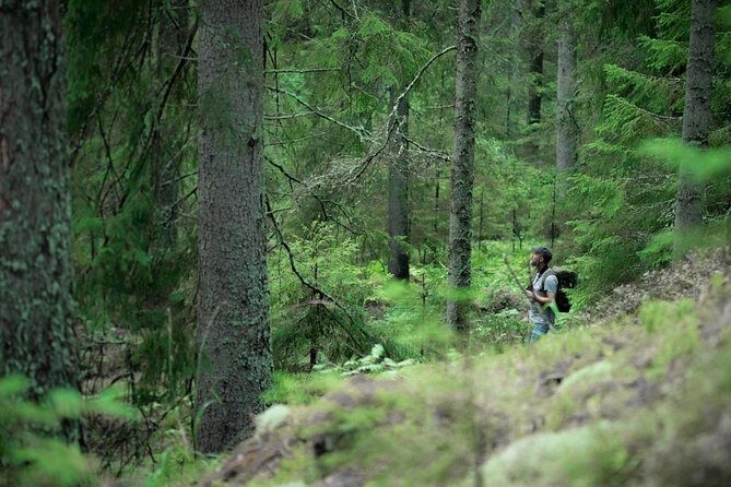 Wolves, Moose & Beavers in the forests of Central Sweden - FAQ