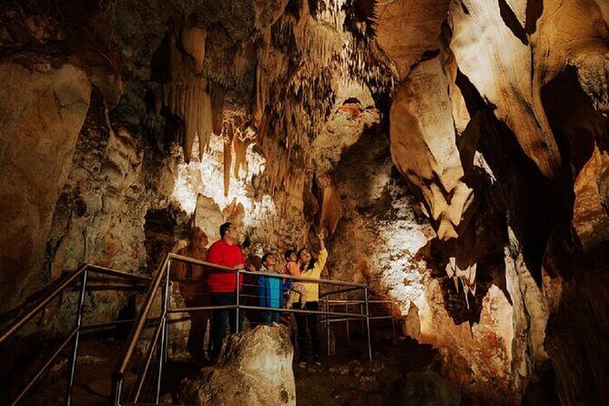 Wombeyan Caves: Wollondilly Cave Guided Tour - Wombeyan Caves: Wollondilly Cave Guided Tour — A Deep Dive into Natural Wonder