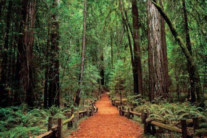 Women Only 5 day California Vineyards, Waves and Wine Tour - Starting the Journey: San Francisco & the Golden Gate Bridge