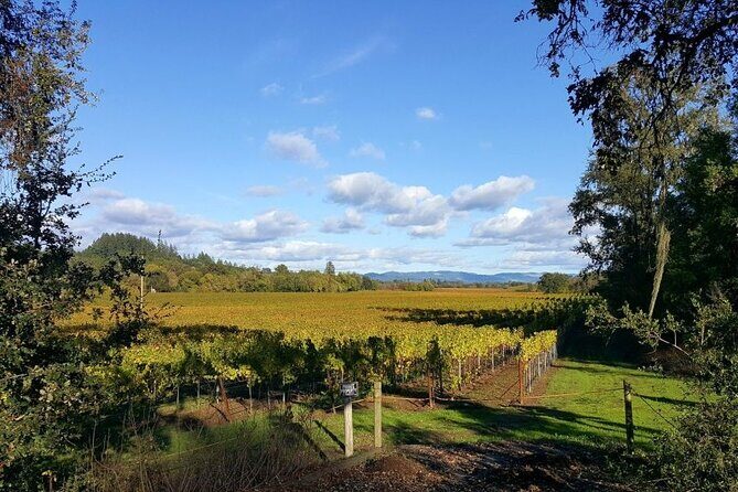 Women Only 5 day California Vineyards, Waves and Wine Tour - Day 4: Redwoods & Nature’s Grandeur