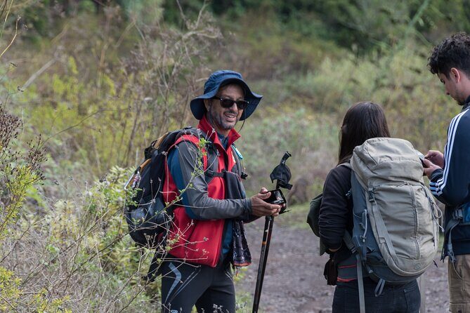 Wonderful hike through the Magic Forest of Tenerife - The Sum Up