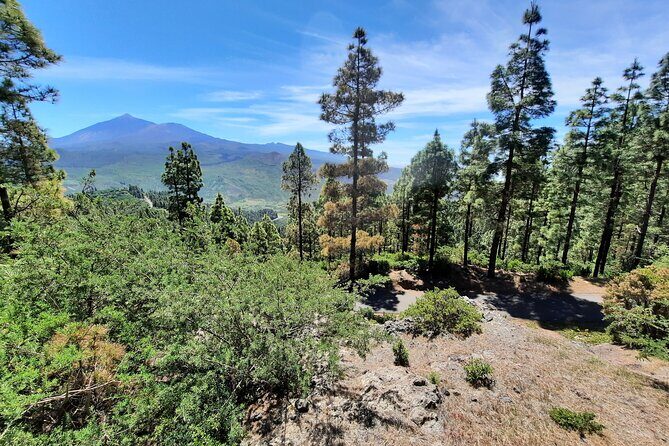 Wonderful hike through the Magic Forest of Tenerife - FAQs