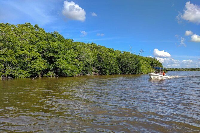 Wonderful Tour Las Coloradas & Buffete only from Cancun - Who Is This Tour Best For? 