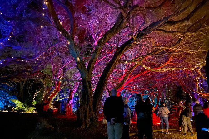 Wonderland by Night Norfolk Island - Introduction