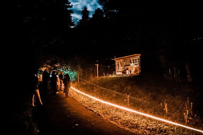 Wonderland by Night Norfolk Island - What to Expect During the Tour