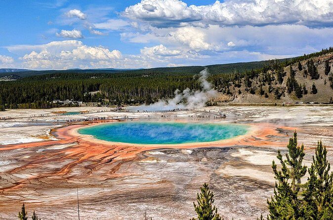 Wonders of Yellowstone Lower Loop Private Tour with Lunch - Cost and Value