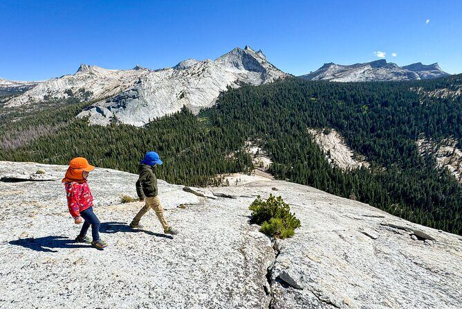 Wonders of Yosemite: Kid Friendly Private Tour - An In-Depth Look at the Yosemite Private Tour