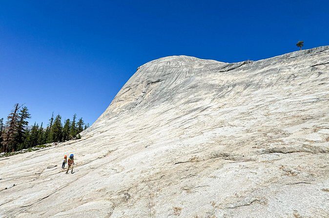 Wonders of Yosemite: Kid Friendly Private Tour - FAQs