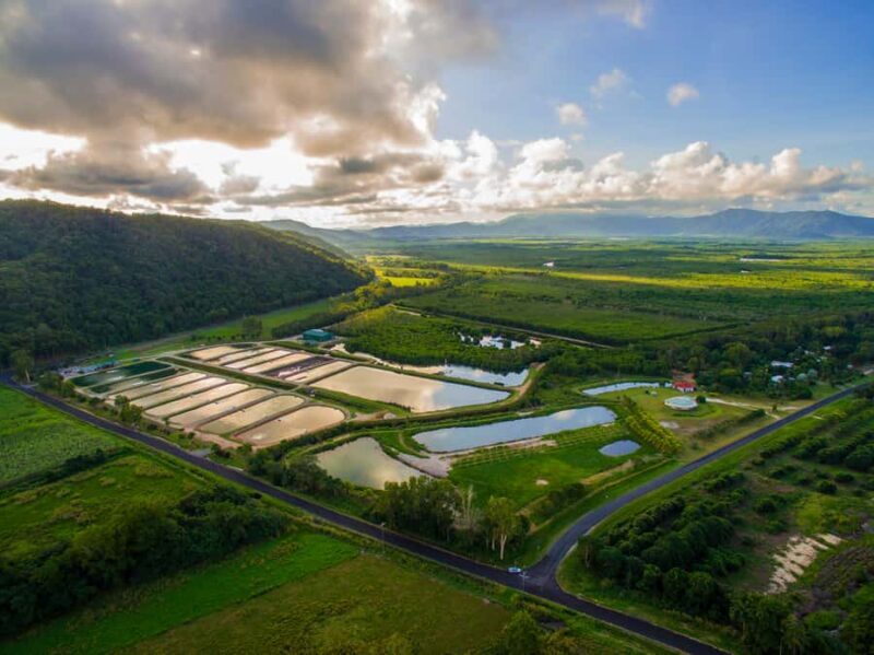 Wonga: Daintree Saltwater Farm Tour - Final Thoughts