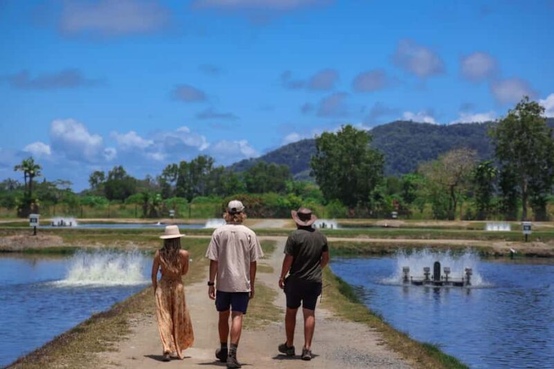 Wonga: Guided Fishing, Farming and Tasting Tour - An Authentic Look Behind the Scenes at Daintree Saltwater Barramundi Farm 