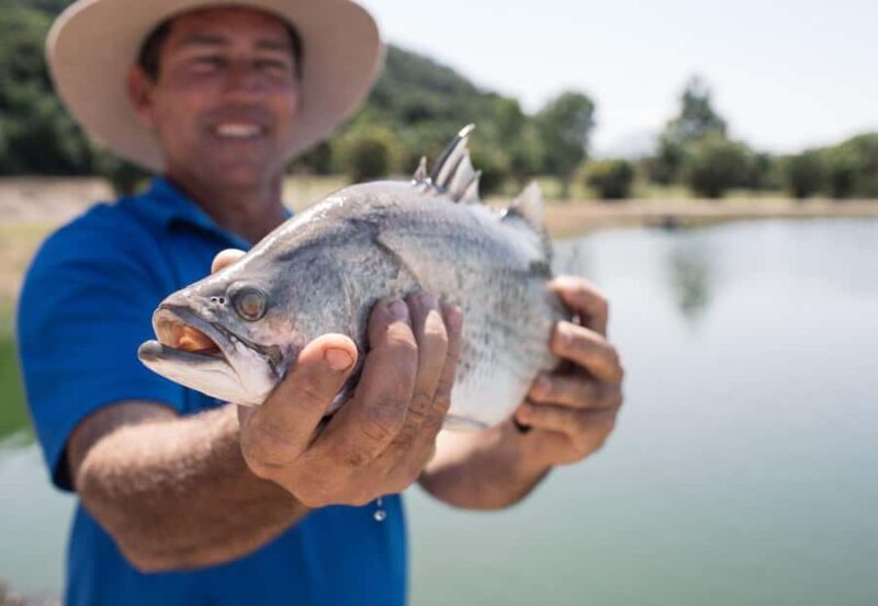 Wonga: Guided Fishing, Farming and Tasting Tour - Fishing at the Big Barramundi Pond