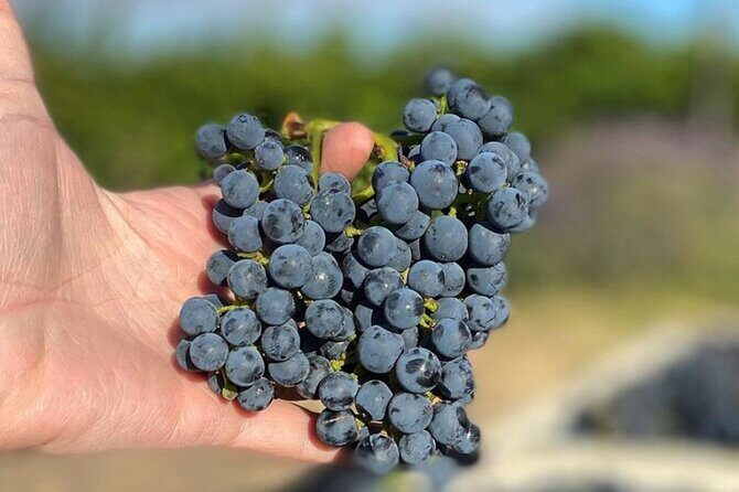 Woodinville Warehouse Wine Pass - FAQ