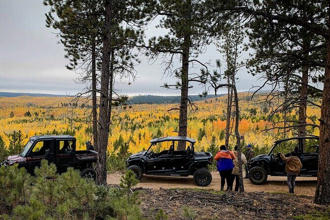Woodland Park: 2 Hour Guided Wildlife Sunset UTV Tour - You Drive - Value and Pricing