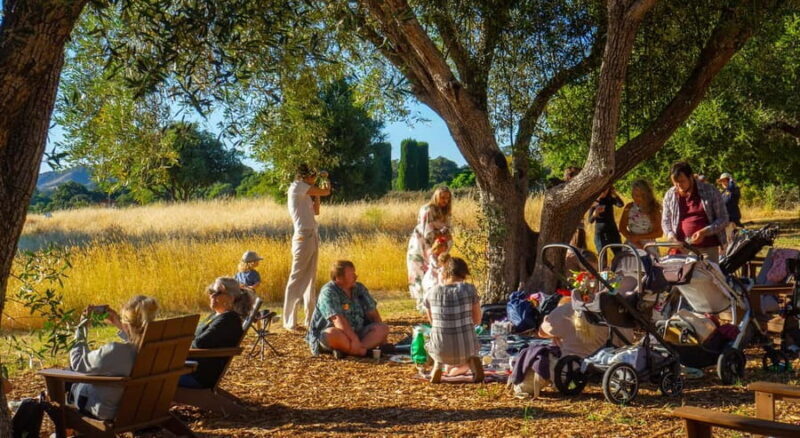 Woodside: Filoli Historic House and Garden Entry Ticket - Key Points