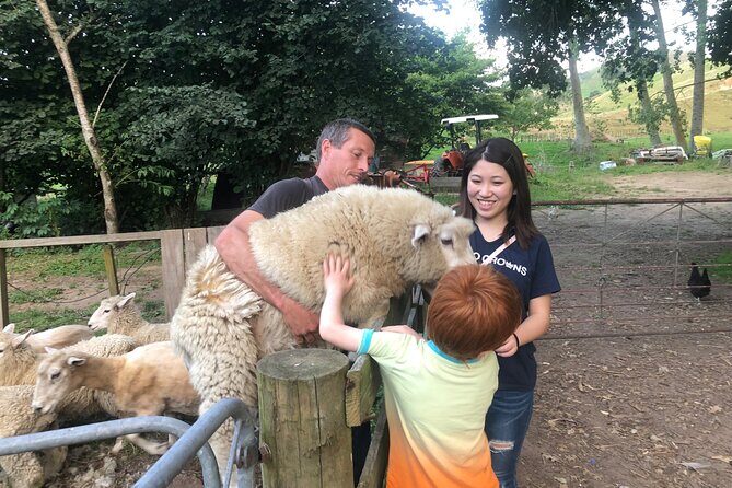 Wool Sheep Farm Experience with Handmade Wool Hat in New Zealand - An Authentic Sheep Farm Experience in New Zealand: A Deep Dive