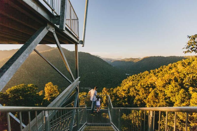 Wooroonooran National Park: Mamu Tropical Skywalk Admission - Wooroonooran National Park: Mamu Tropical Skywalk Admission – An In-Depth Look