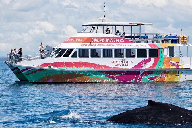 World class Whale Watching from Hervey Bay - Practical Details