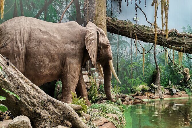 World of Discoveries Entrance Ticket in Porto - The Sum Up