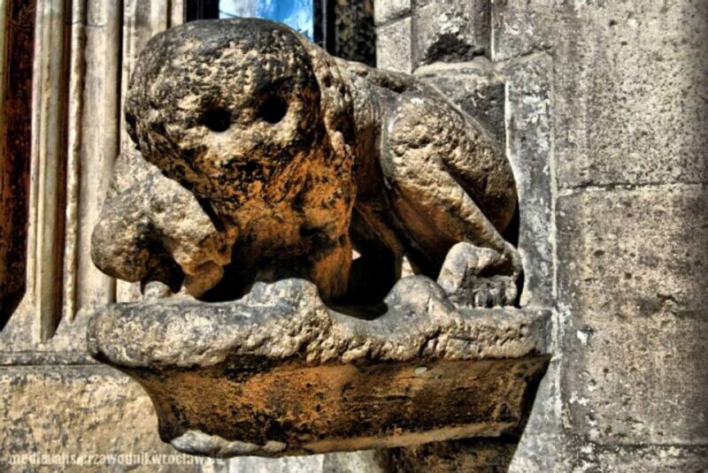 Wroclaw: Secrets of Wroclaw Walking Tour (2 hours) - Final Thoughts: Who Should Take This Tour?