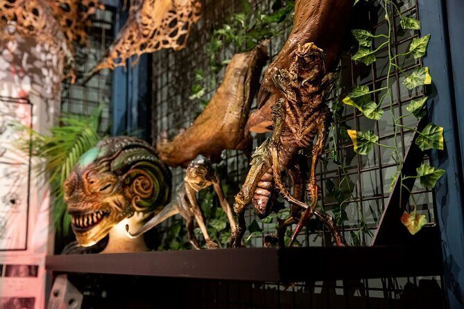 Wt Workshop Unleashed Tour - Auckland - FAQ