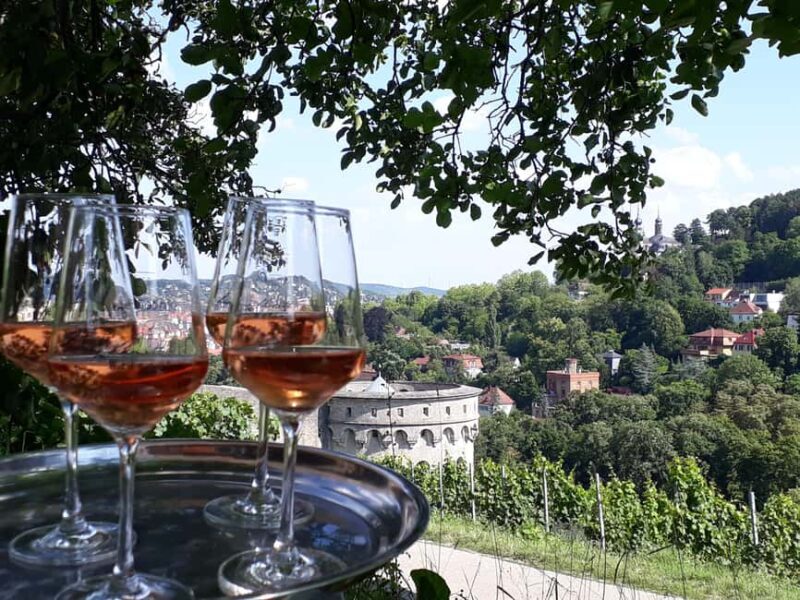 Wuerzburg: Vineyard rally with wine tasting and group dynamics - The Sum Up