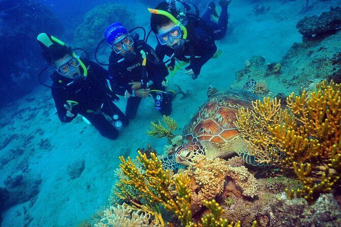 Wunyami Cultural Tour on Green Island's Eco Adventure - Nature & Cultural Harmony: Exploring Green Island