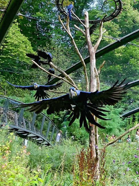 Wuppertal: Admission to the Green Zoo Wuppertal - FAQ