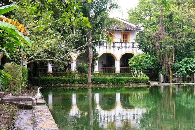 Xalapa and its aroma of coffee. Fall in love! - Transportation and Practicalities