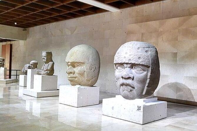 Xalapa and its aroma of coffee. Fall in love! - The Experience of the Guides