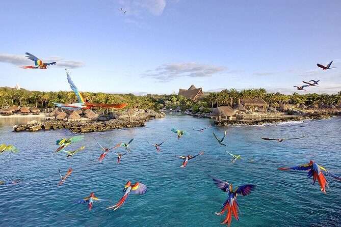 Xcaret Park Day Tour & Night Show with Transportation - In-Depth Look at the Itinerary