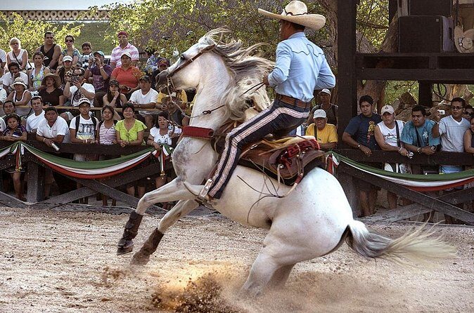 Xcaret Park Day Tour & Night Show with Transportation - Pricing and Value