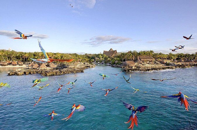 Xcaret Park Day Tour & Night Show with Transportation - Who Is This Tour Best For?