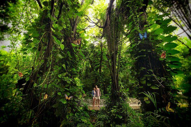 Xcaret Park Day Trip, transportation and Cultural Night Show - The Sum Up